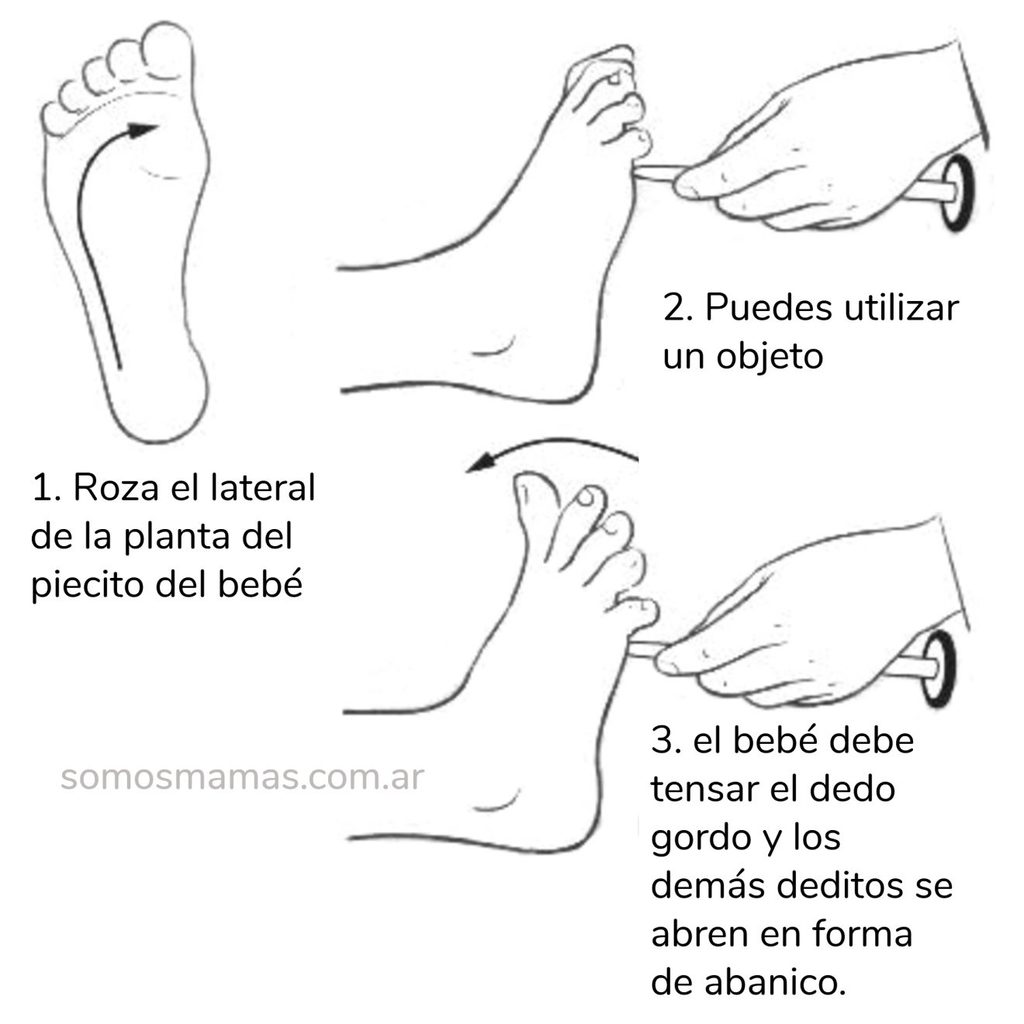 Reflejo de Babinski: ¿Cómo hacer el test del con tu bebé? ¡En casa y en ...