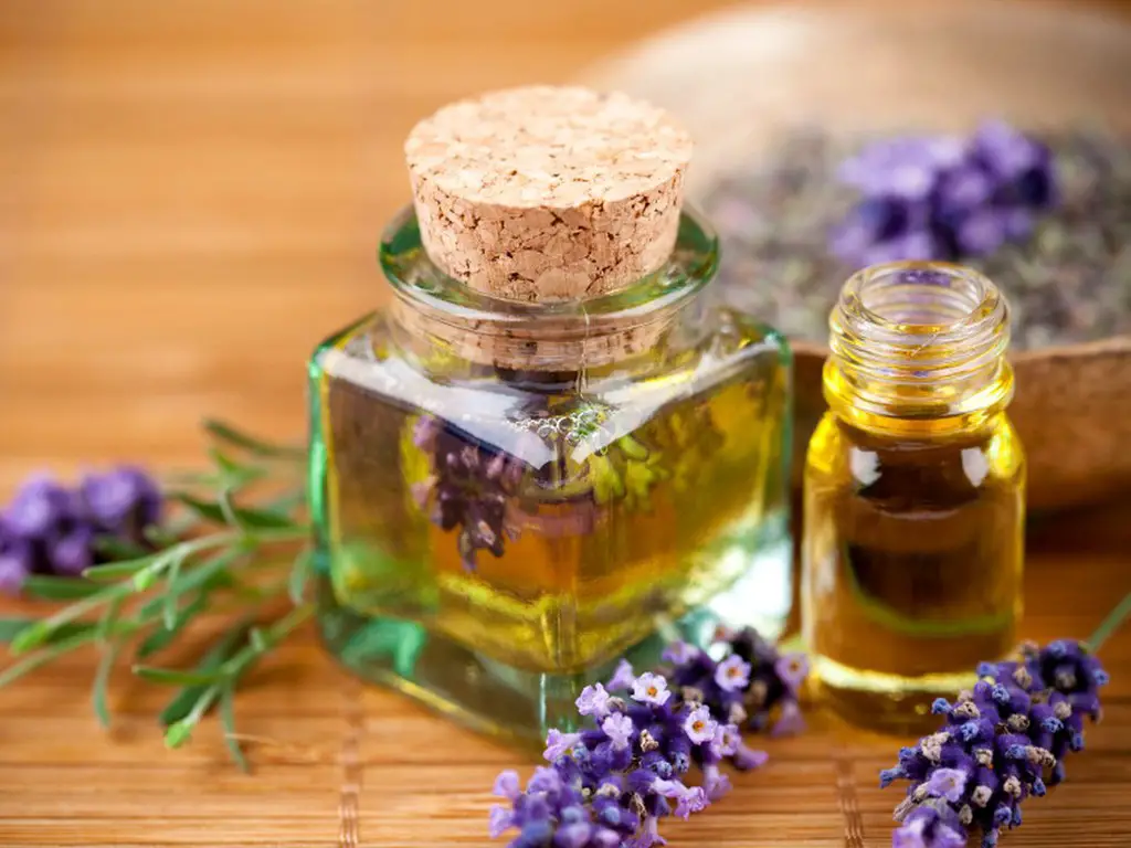 15 Remedios caseros para la sinusitis ¡Los tratamientos naturales más ...