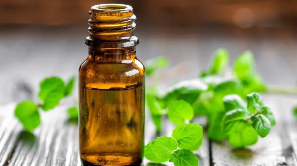 15 Remedios caseros para la sinusitis ¡Los tratamientos naturales más ...