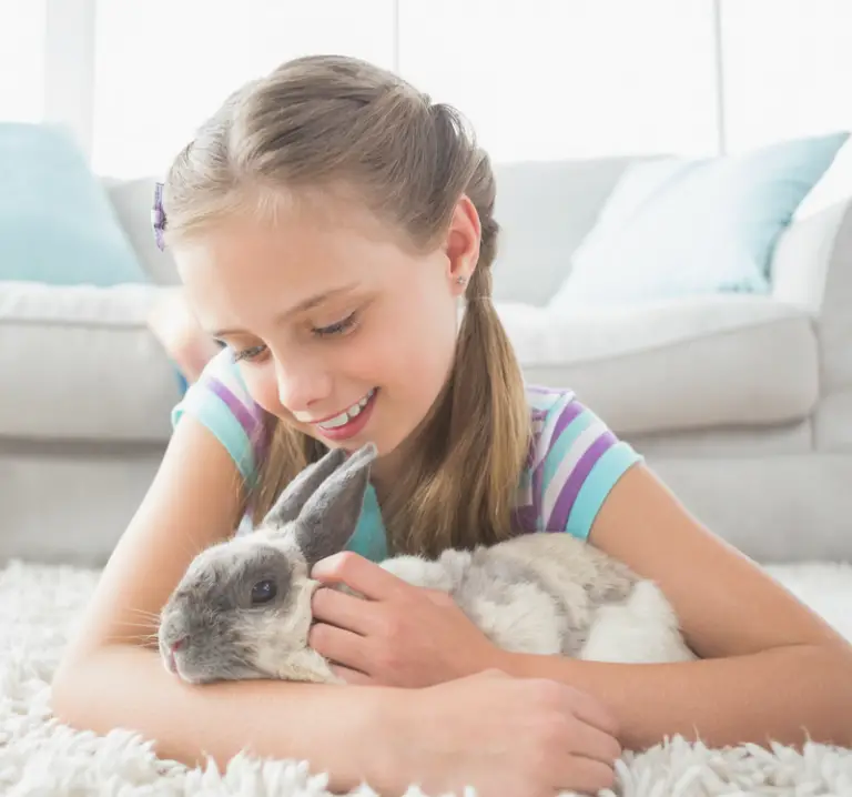 Animales para niños (domésticos y salvajes) ¡Tipos, características y ...