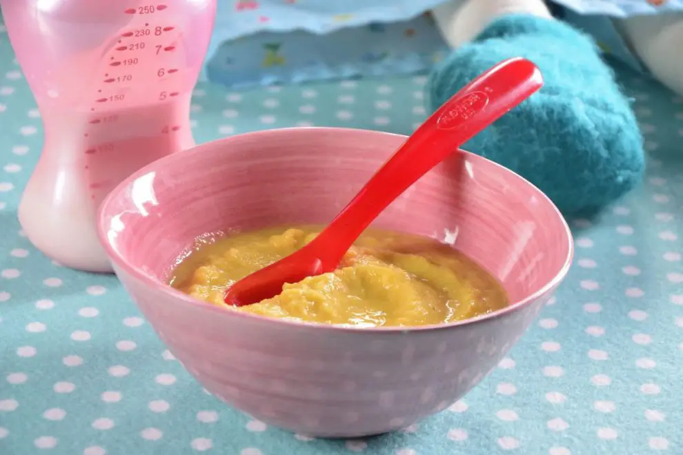 Papillas para bebés de 9 meses: +25 Recetas para introducir nuevas ...