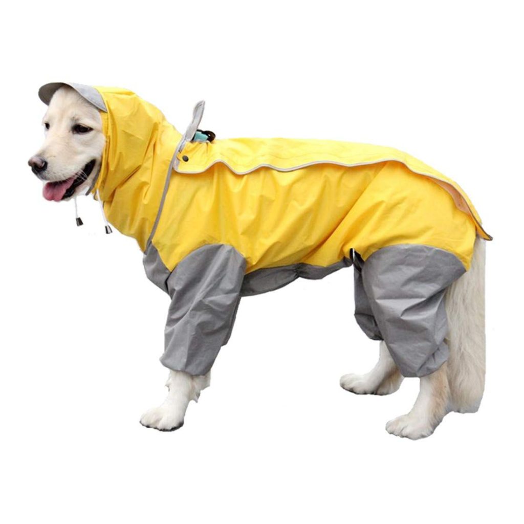 Trajes para perros: +22 opciones (adorables) para vestir a tu mascota