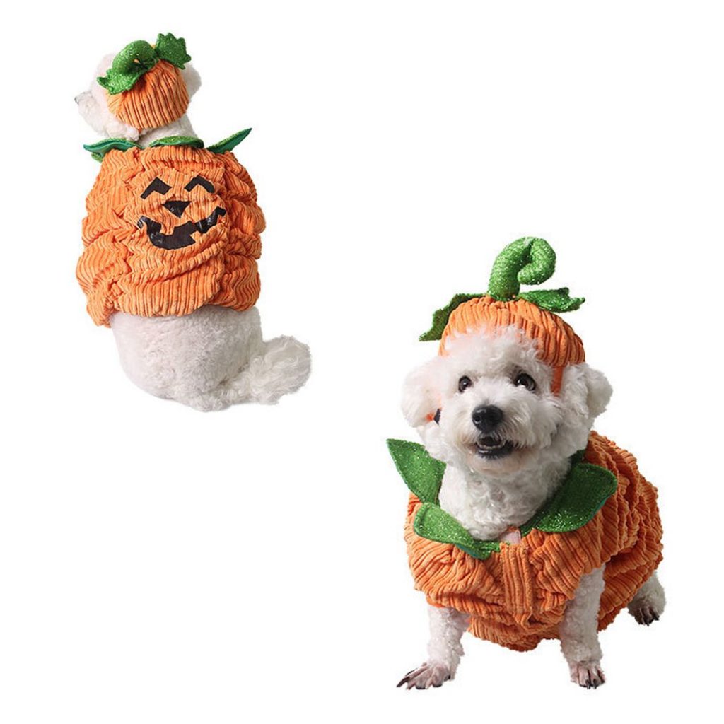 Disfraces para perros ¡Los + divertidos para pasear a tu mascota!