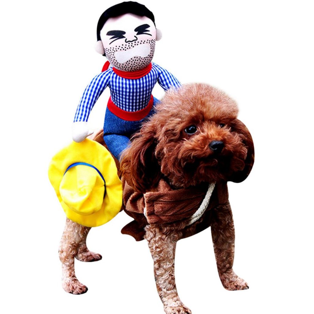 Disfraces para perros ¡Los + divertidos para pasear a tu mascota!