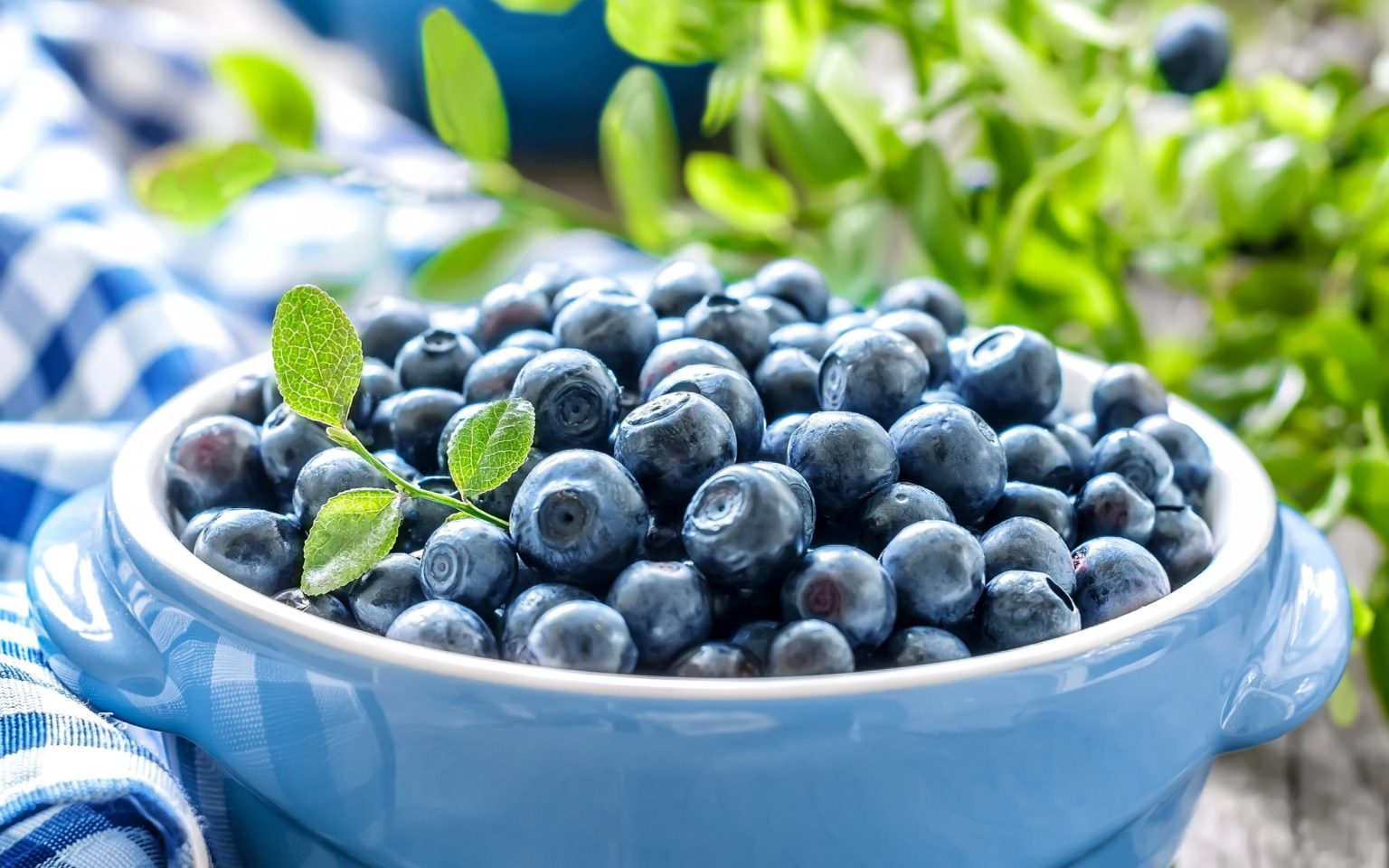 Frutas azules ¿Cuáles son? ¡Descubre sus múltiples beneficios y ...
