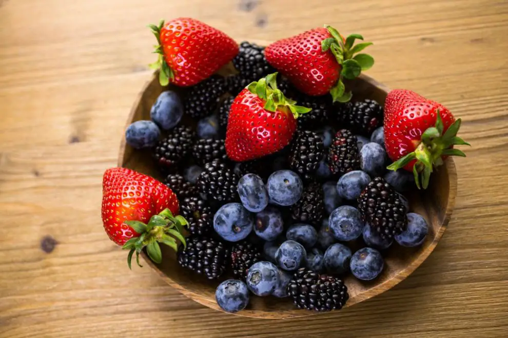 Frutas azules ¿Cuáles son? ¡Descubre sus múltiples beneficios y ...