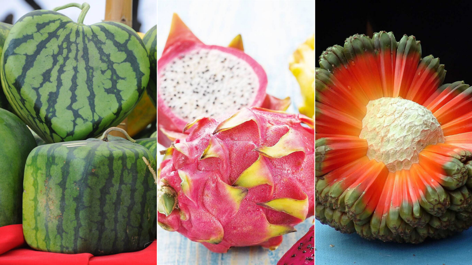 Ranking de las frutas raras y más exóticas que existen ¡Te sorprenderán!