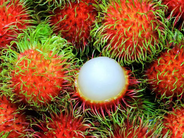 Ranking de las frutas raras y más exóticas que existen ¡Te sorprenderán!