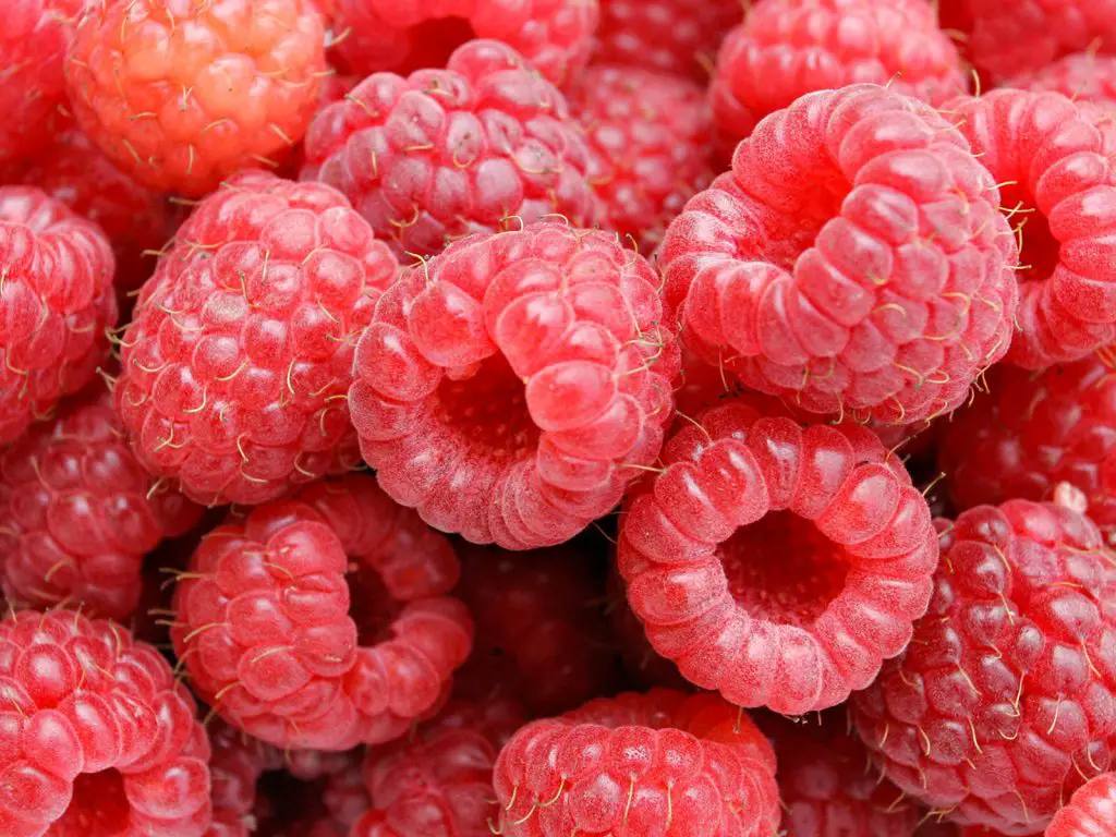 ¿Cuáles son nombres de frutas más populares? ¡Propiedades y beneficios!