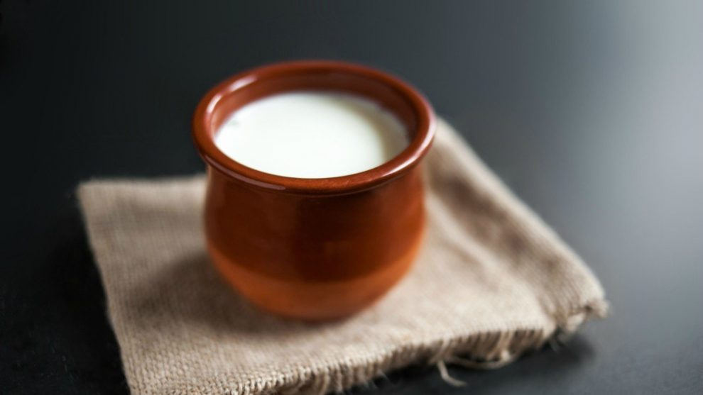 Postres con cuajadas ¡Recetas que de seguro no conocías y te servirán ...