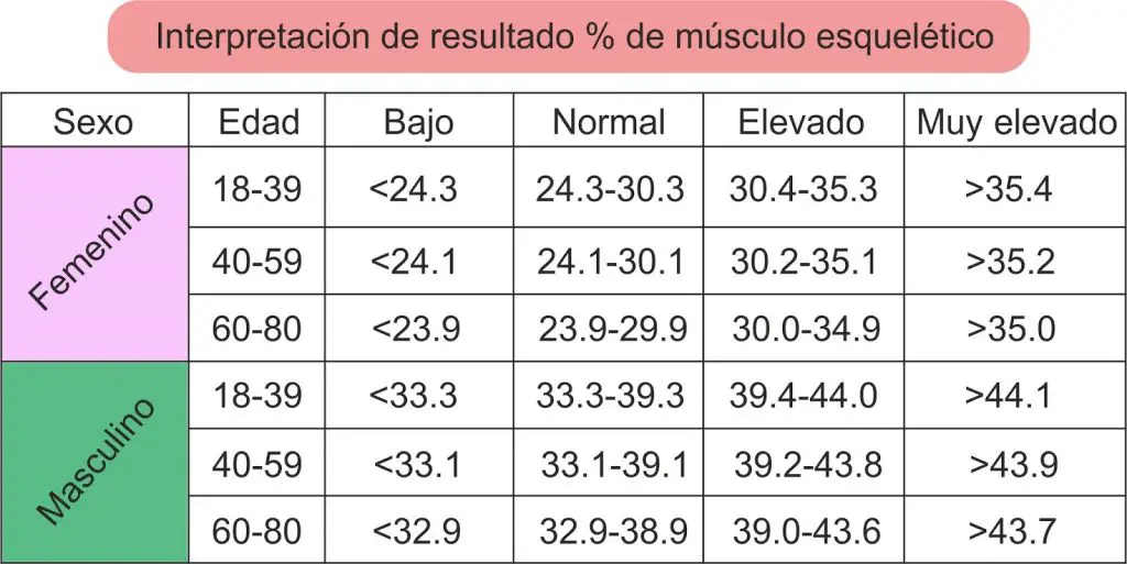 Peso ideal ¿Que es y como calcularlo?
