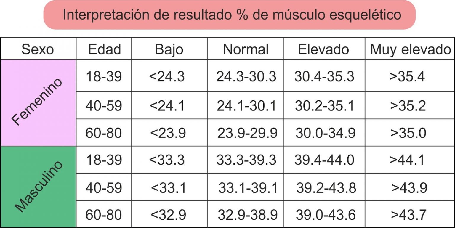 Peso ideal ¿Que es y como calcularlo?