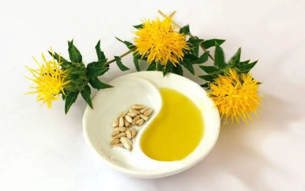 Aceite de cártamo: Propiedades, beneficios y usos para la salud