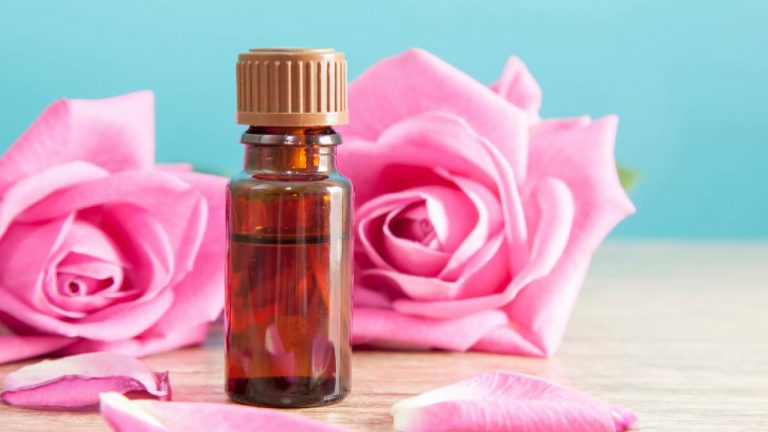Propiedades del Aceite de Mosqueta para una piel siempre joven