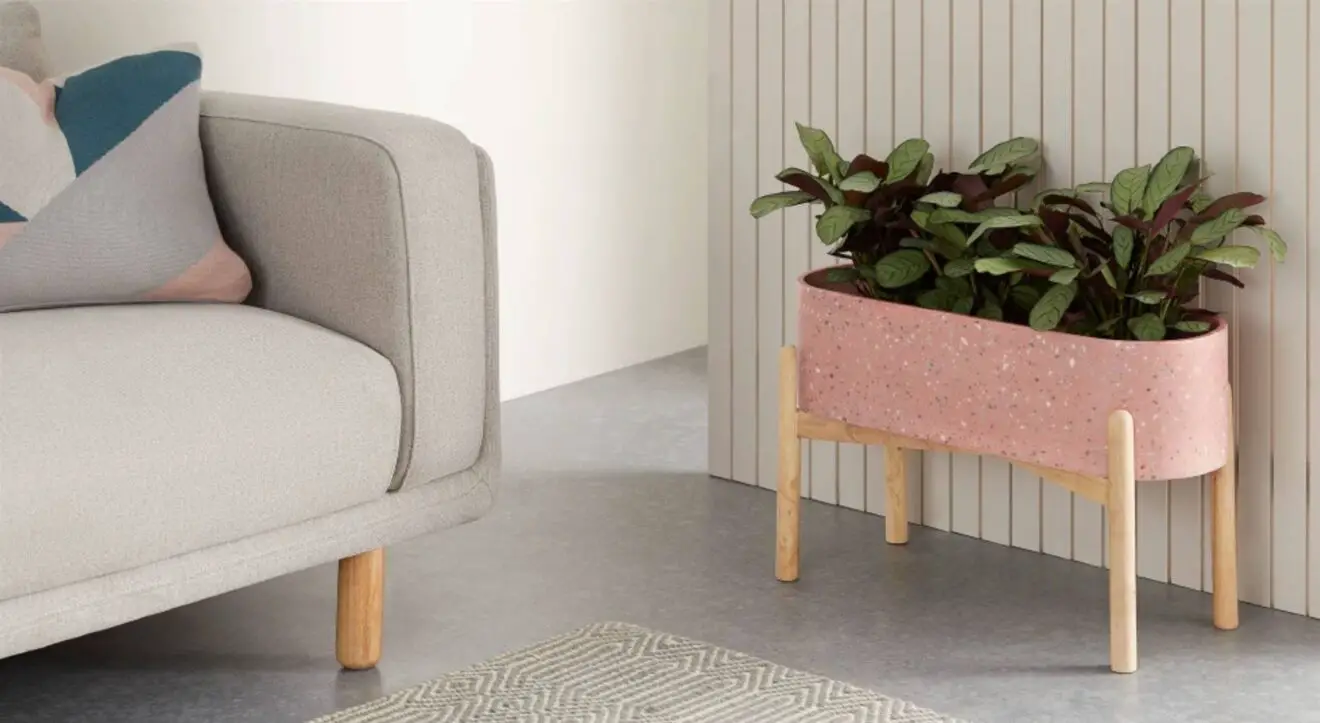 ¿Sabes cuáles son las mejores macetas de interior para tus plantas?