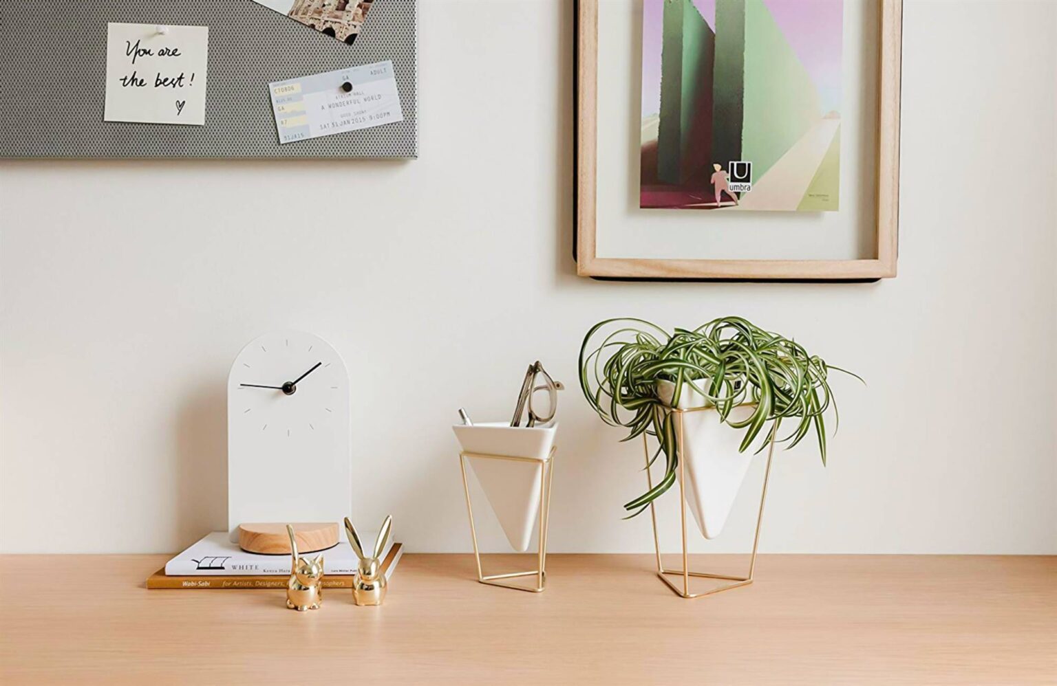 ¿Sabes cuáles son las mejores macetas de interior para tus plantas?