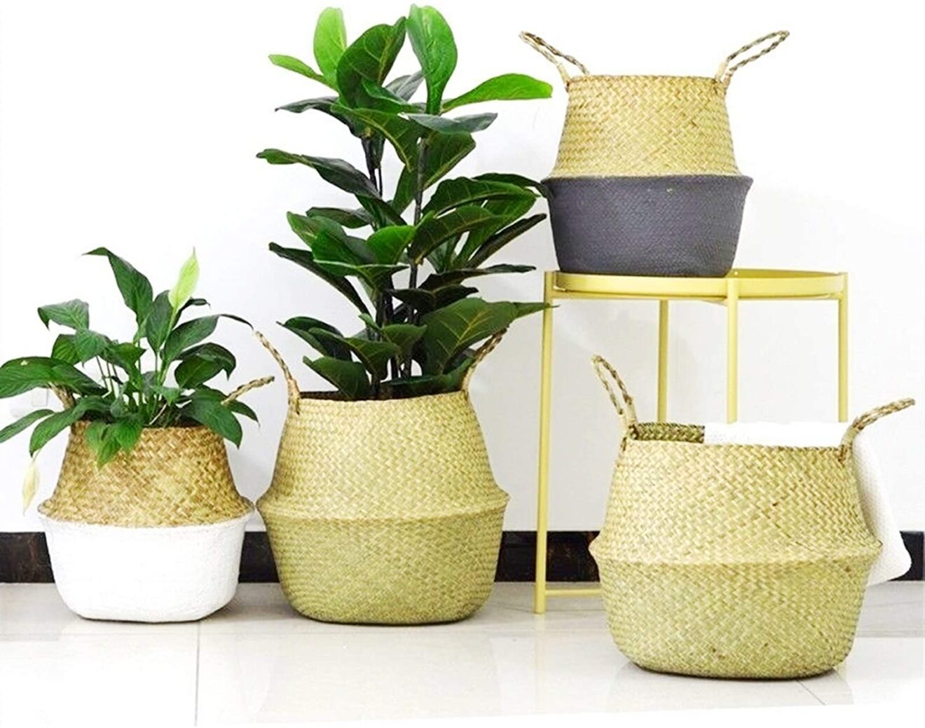 ¿Sabes cuáles son las mejores macetas de interior para tus plantas?