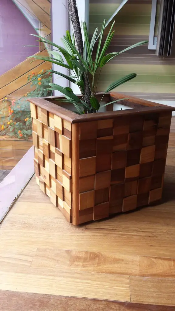 ¿Sabes cuáles son las mejores macetas de interior para tus plantas?