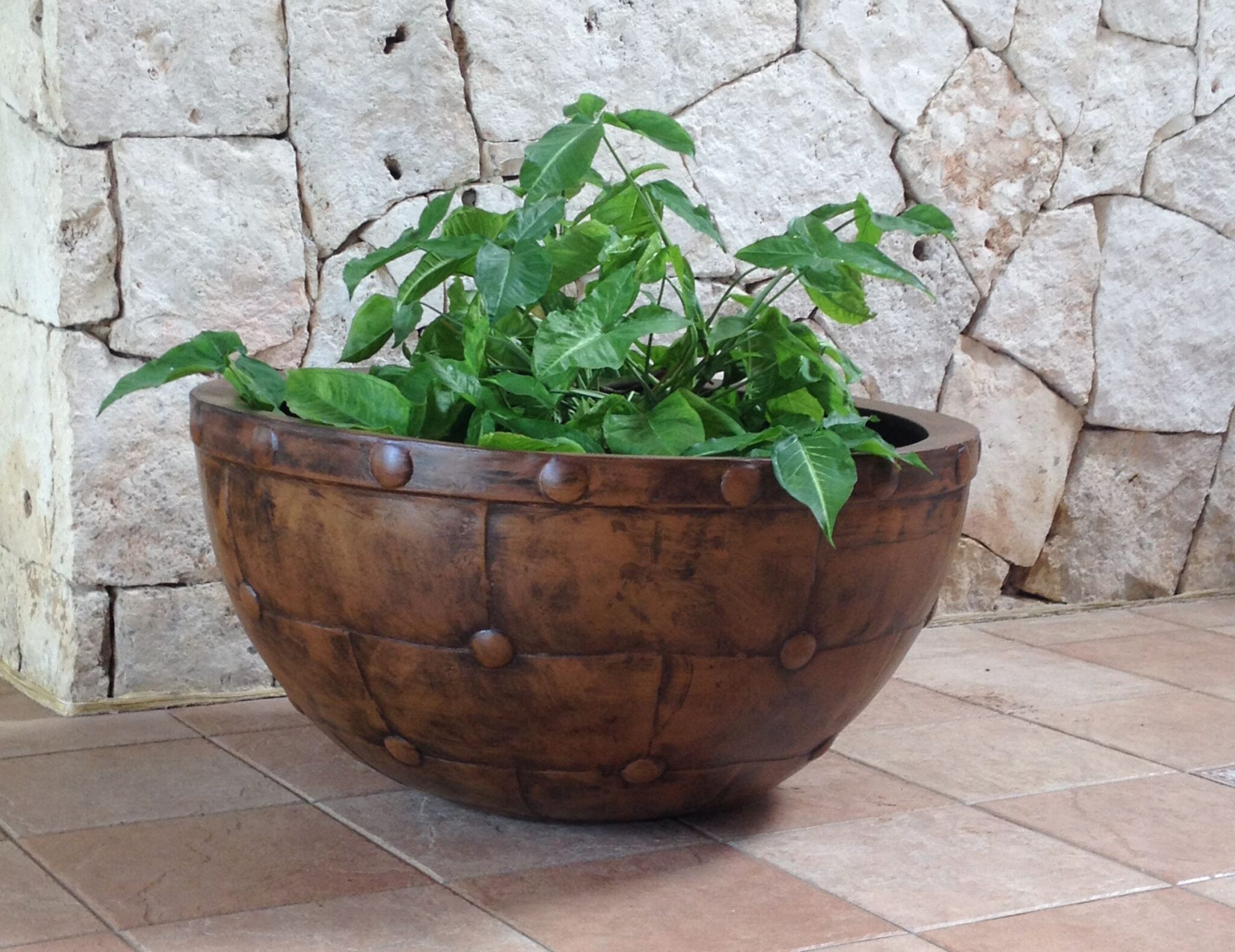 ¿Sabes cuáles son las mejores macetas de interior para tus plantas?