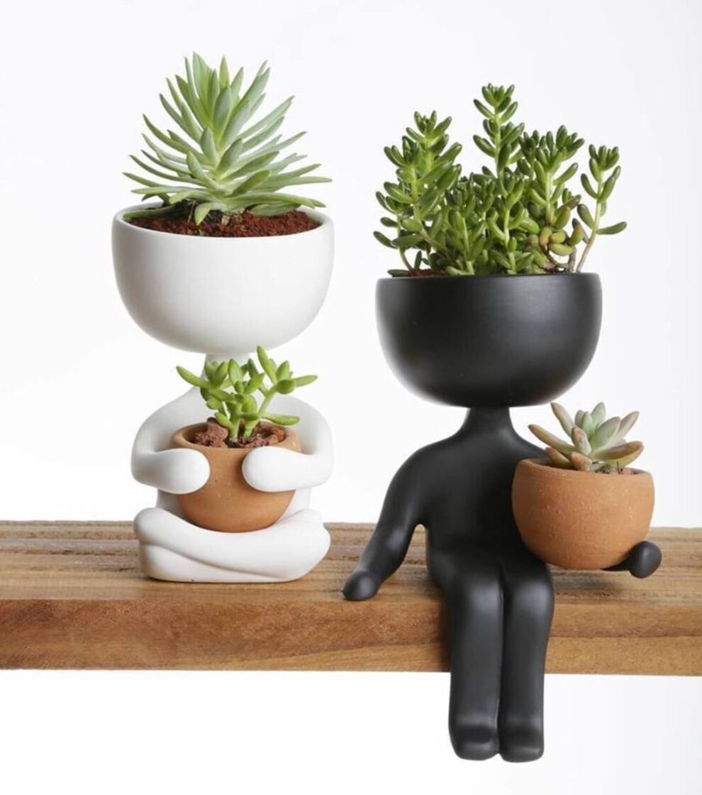 ¿Sabes cuáles son las mejores macetas de interior para tus plantas?