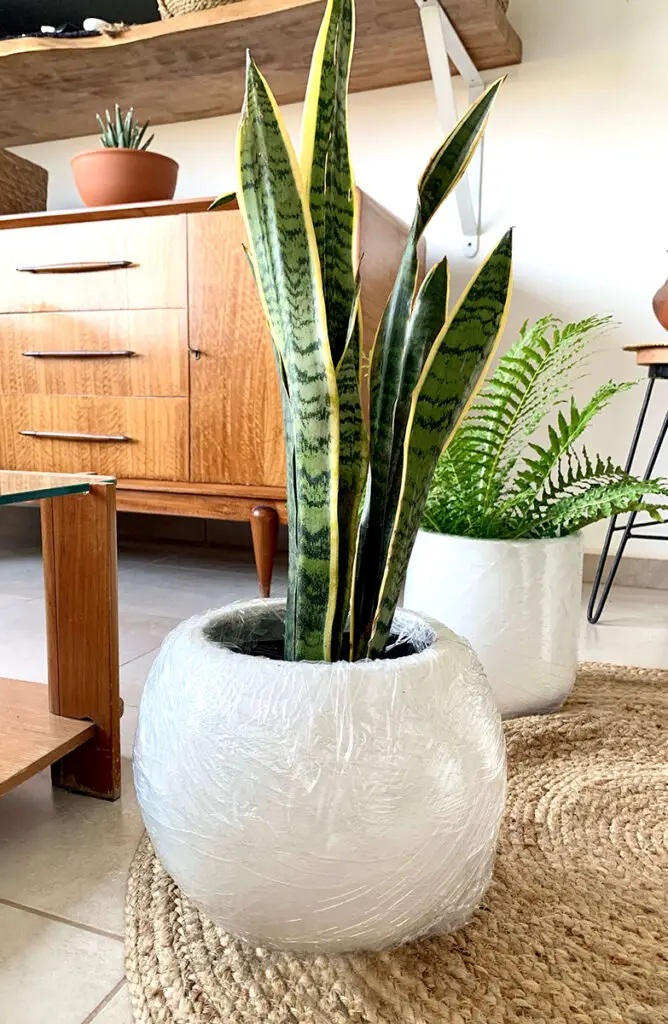 La mejores macetas de interior grandes para plantas altas y frondosas