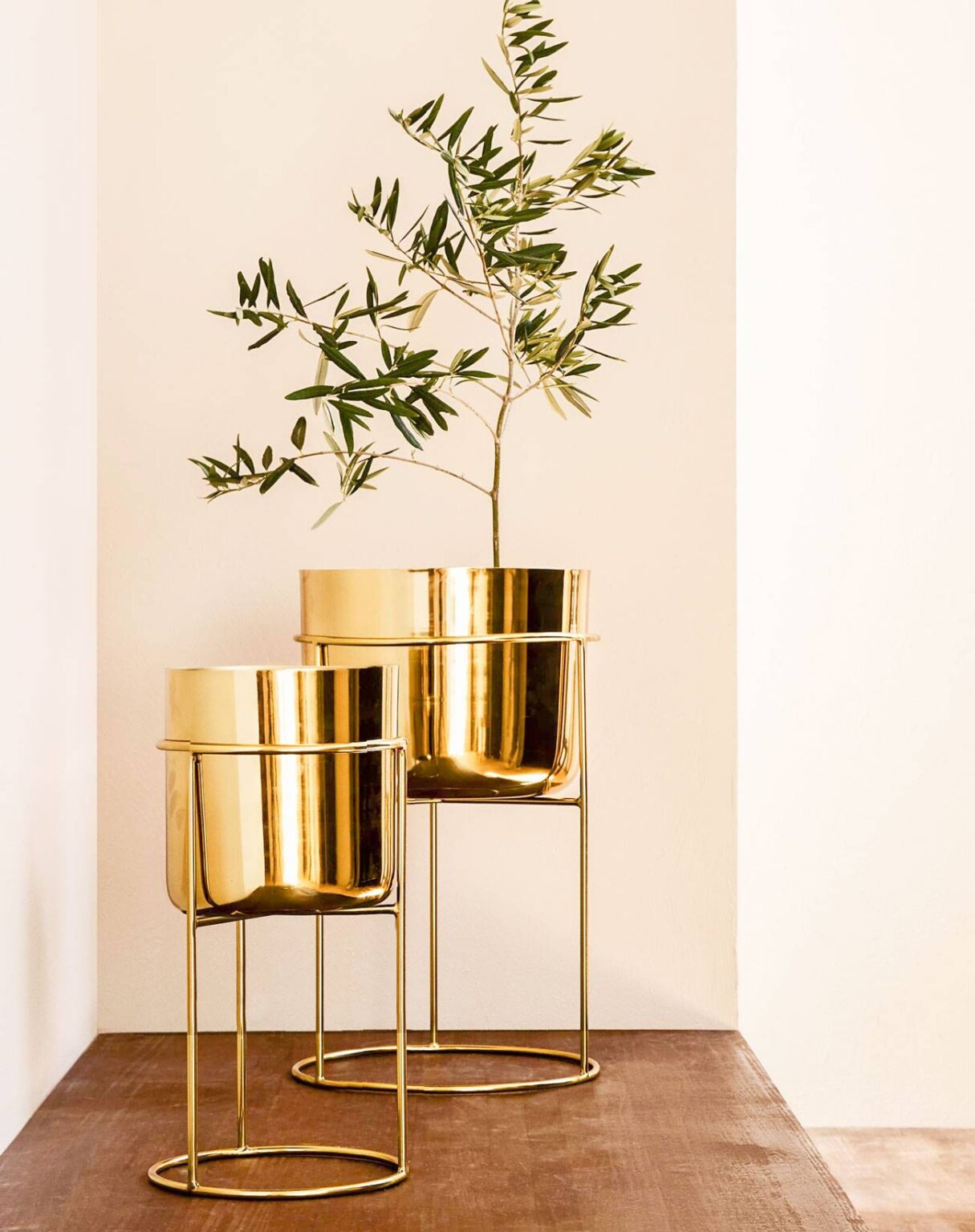 Macetas para plantas de interior ¿Cómo elegir la apropiada?