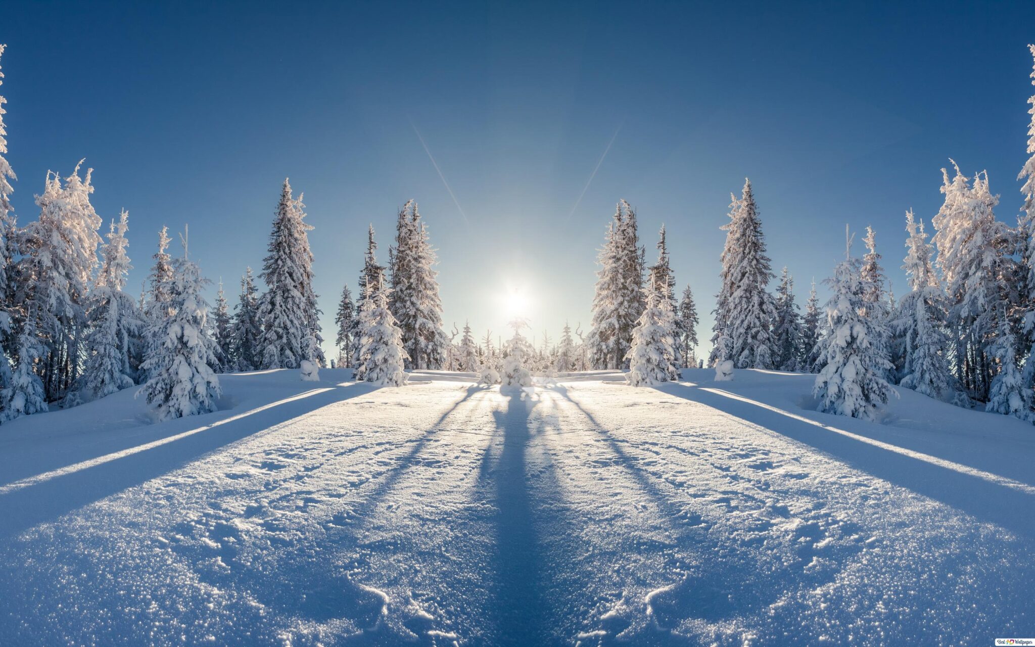 +97 Curiosidades del invierno, solsticio y los cielos
